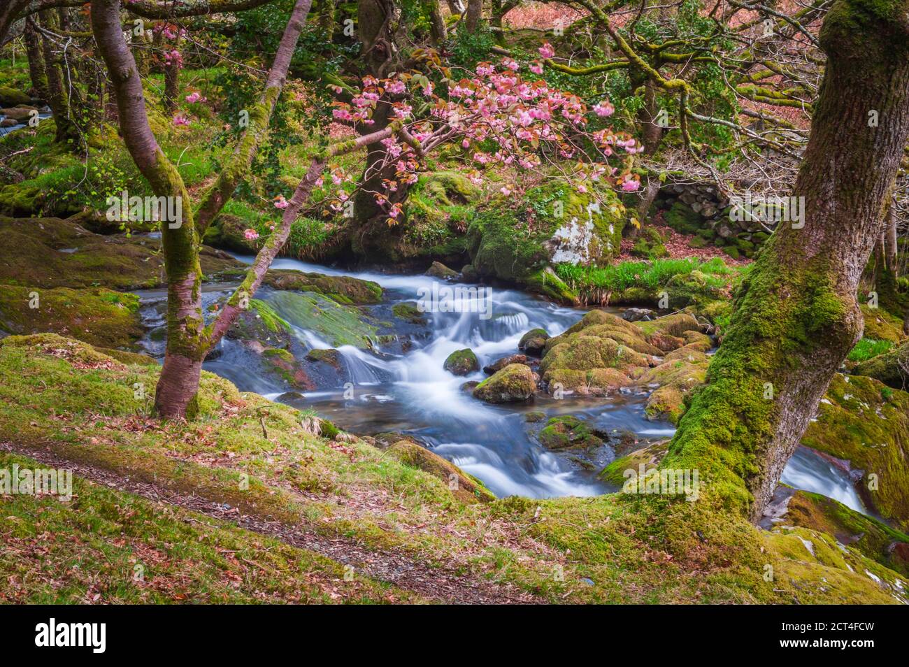 River in the foothills of Cnicht, Croesor Valley, Snowdonia National ...