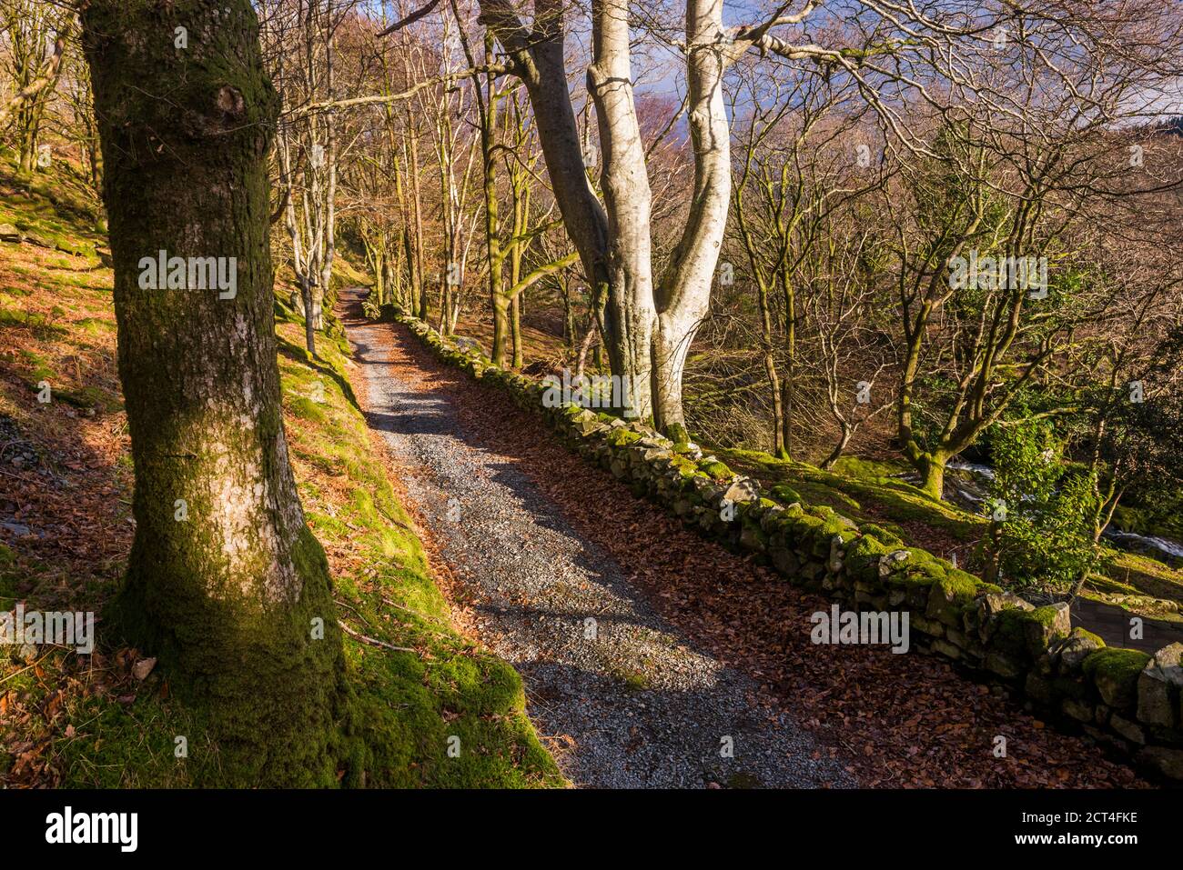 Croesor Valley, Snowdonia National Park, North Wales Stock Photo - Alamy