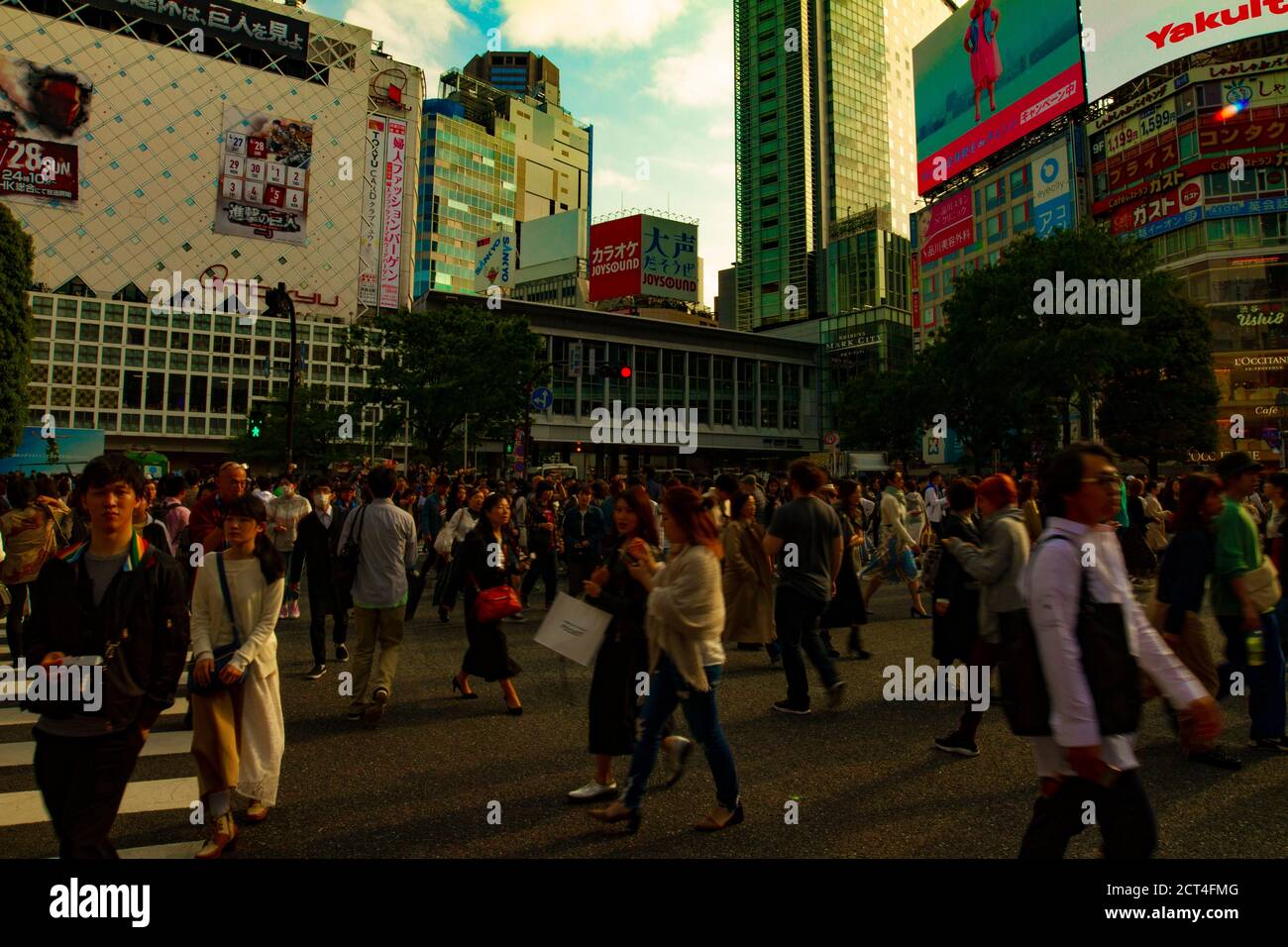 People at the crossing in Shibuya Tokyo daytime Stock Photo - Alamy