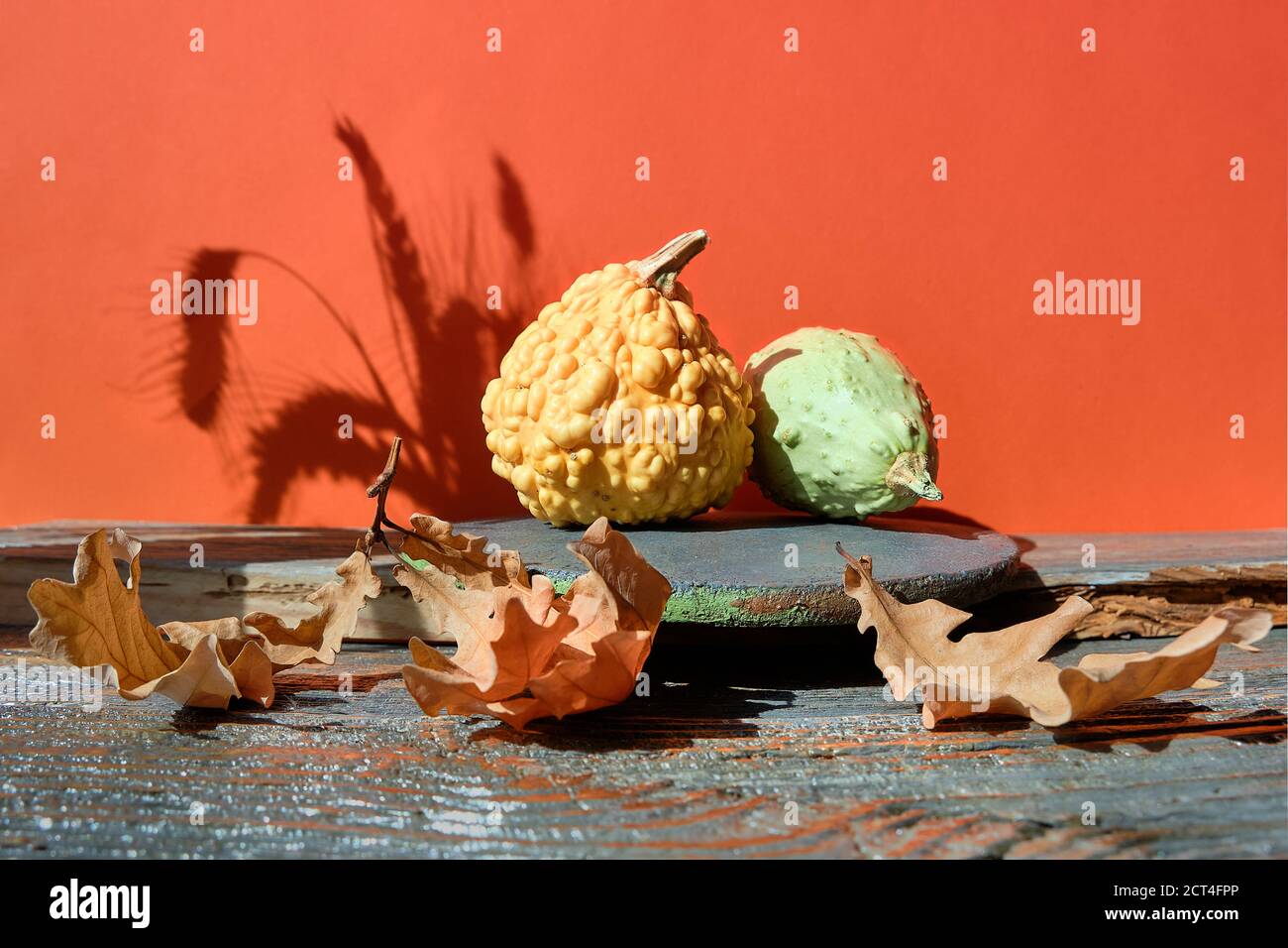 Modern Autumn brick podium with natural decor with shadows in orange ...