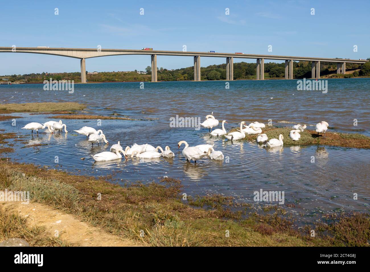River orwell estuary hi-res stock photography and images - Alamy