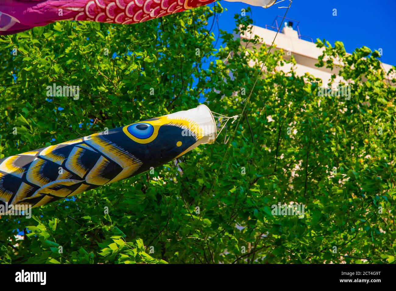 Carp streamer at the park in Tokyo daytime sunny Stock Photo - Alamy