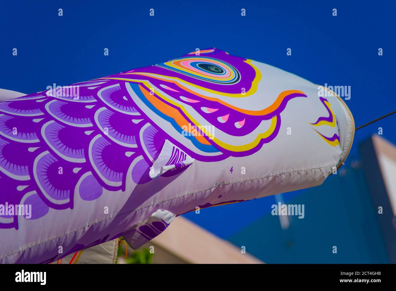 Carp streamer at the park in Tokyo daytime sunny Stock Photo - Alamy