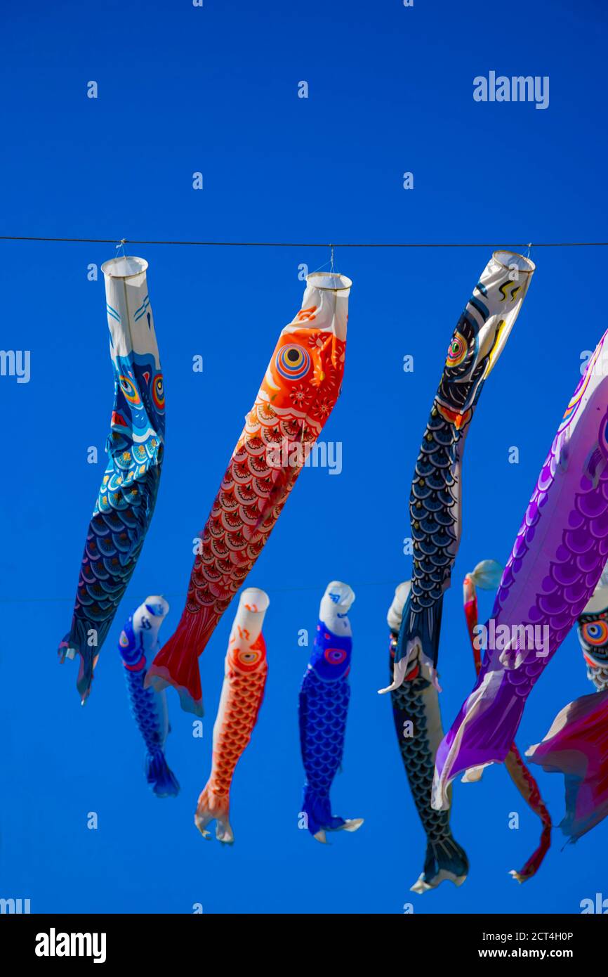 Carp streamer at the park in Tokyo daytime sunny Stock Photo - Alamy