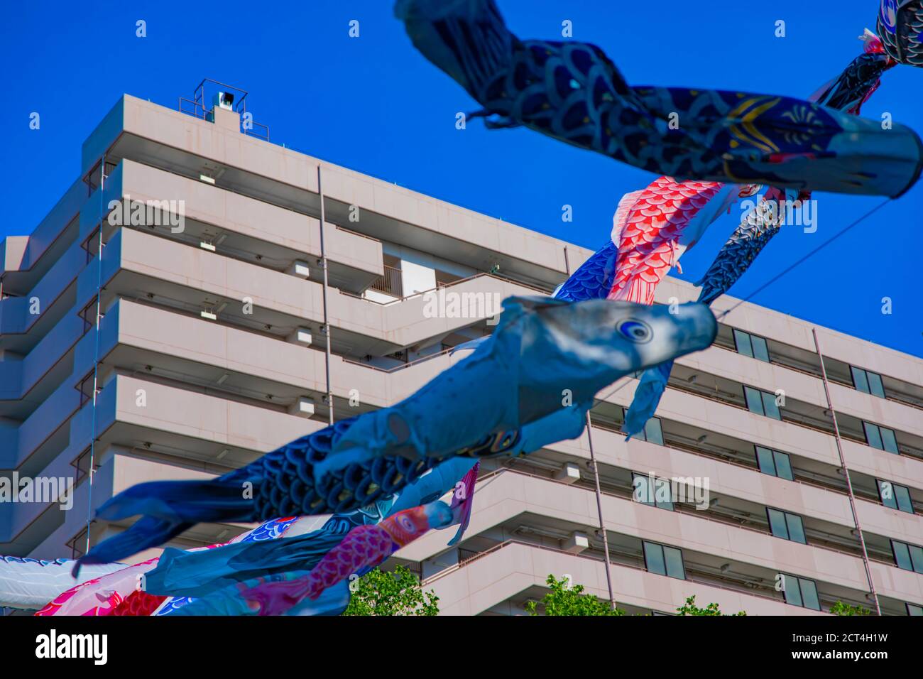 Carp streamer at the park in Tokyo daytime sunny Stock Photo - Alamy