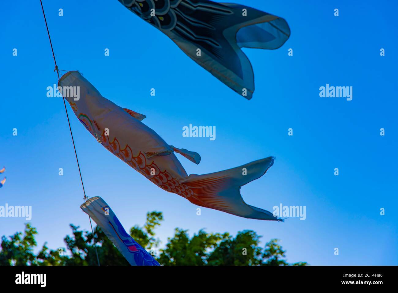 Carp streamer at the park in Tokyo daytime sunny Stock Photo - Alamy