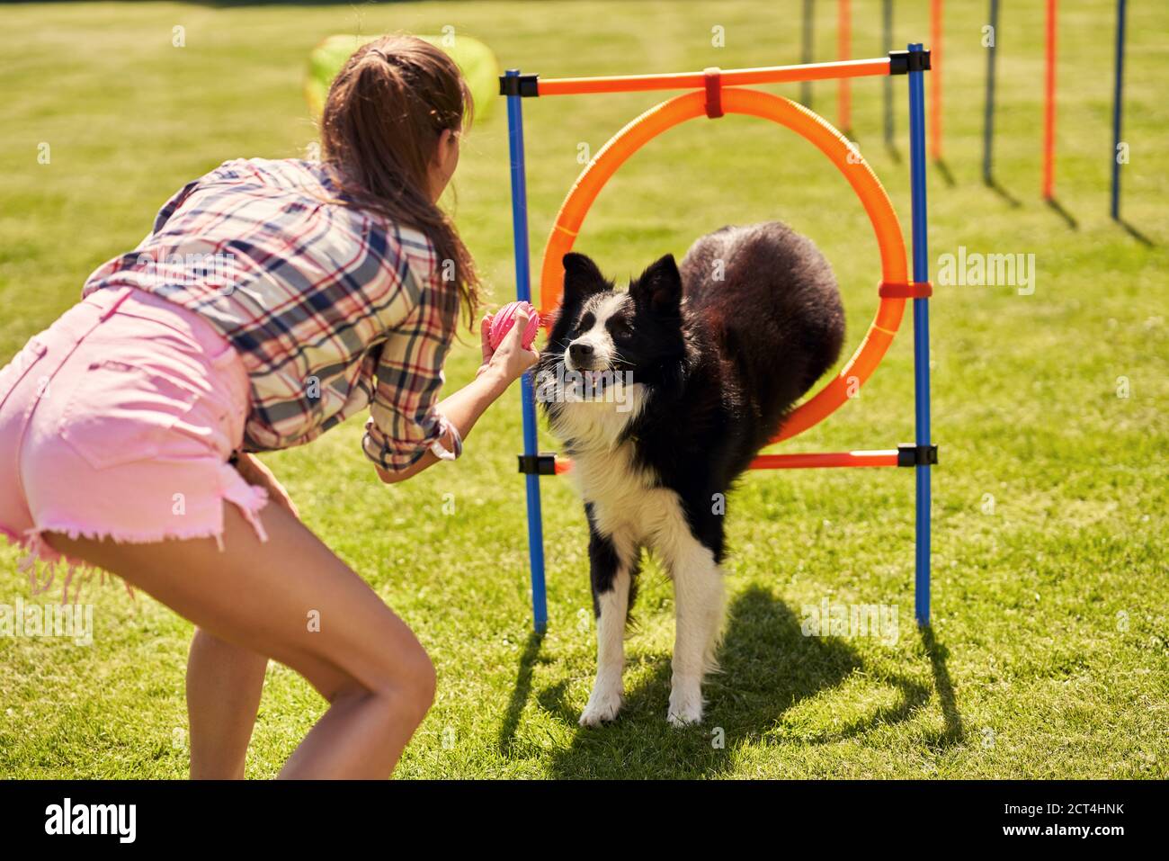 Agility field hi-res stock photography and images - Alamy