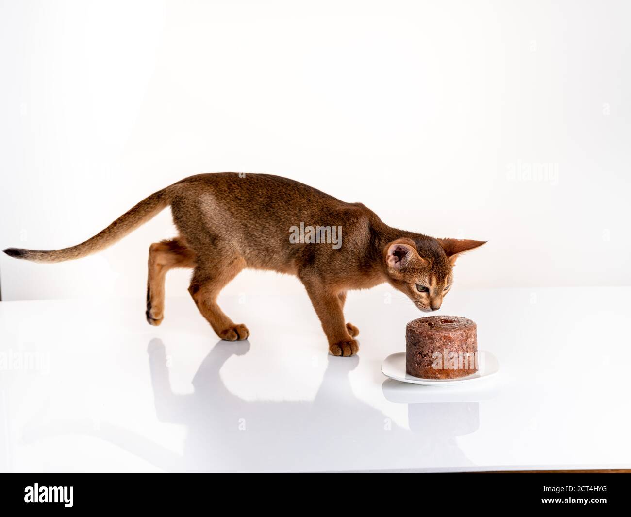 Studio food picture hi-res stock photography and images - Alamy