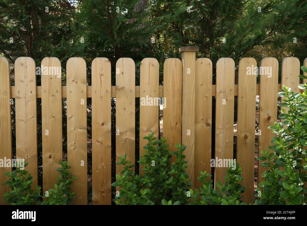 Wooden garden fence at backyard and trees in summer Stock Photo - Alamy