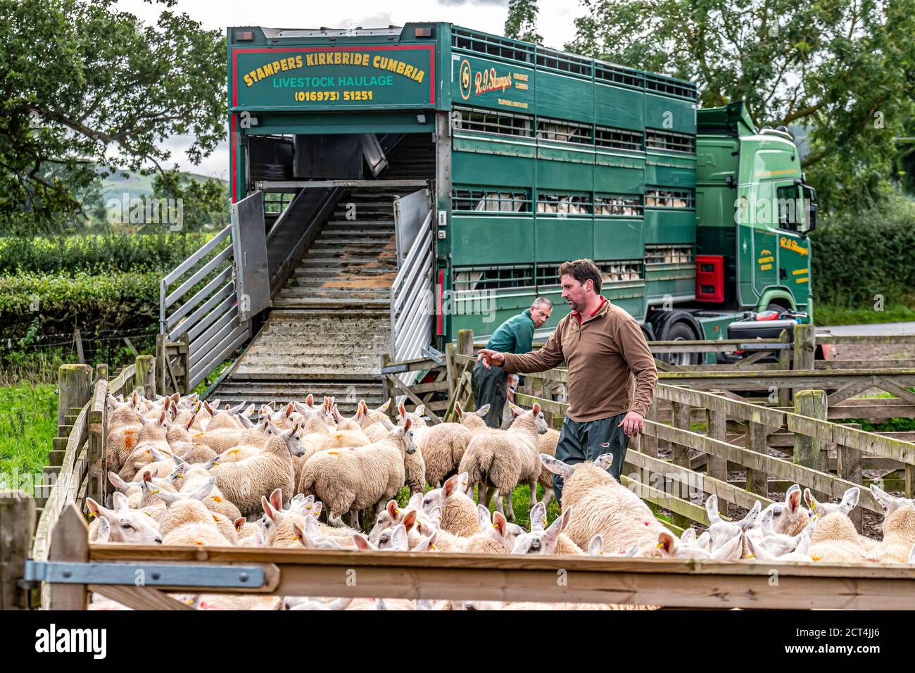 Slaughter Of Lamb High Resolution Stock Photography and Images - Alamy