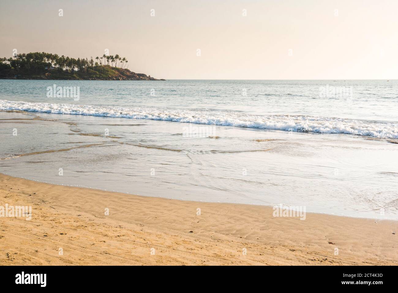 Tropical sandy Palolem Beach on the Goa coast, with pam trees and white ...
