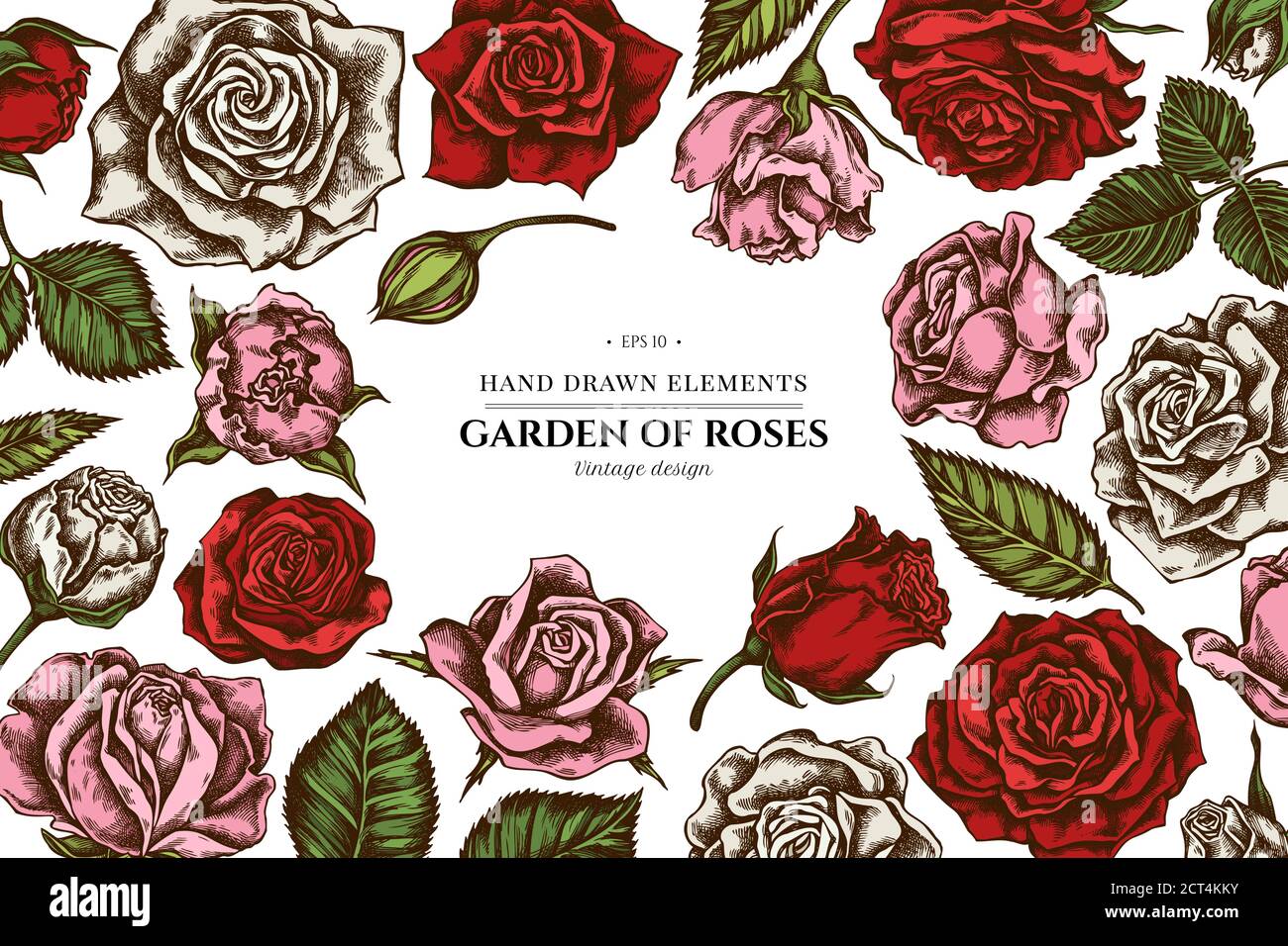 Red roses top view Stock Vector Images - Alamy