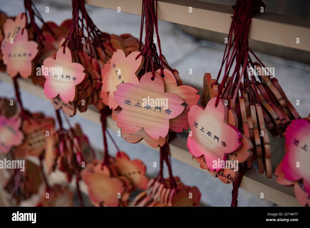 Votive tablets at Ikegami honmonji temple in Tokyo closeup Stock Photo ...