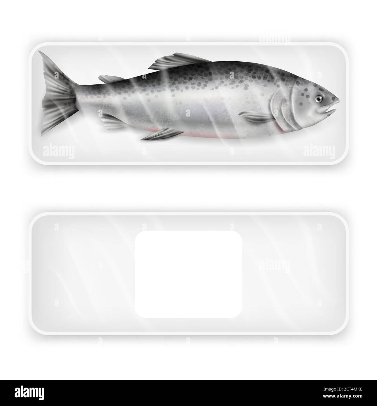 Salmon fish package mockup set, vector realistic illustration Stock ...
