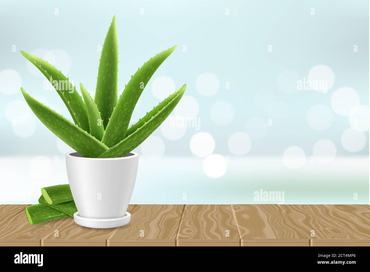 Aloe vera plant in pot vector poster banner template Stock Vector Image ...