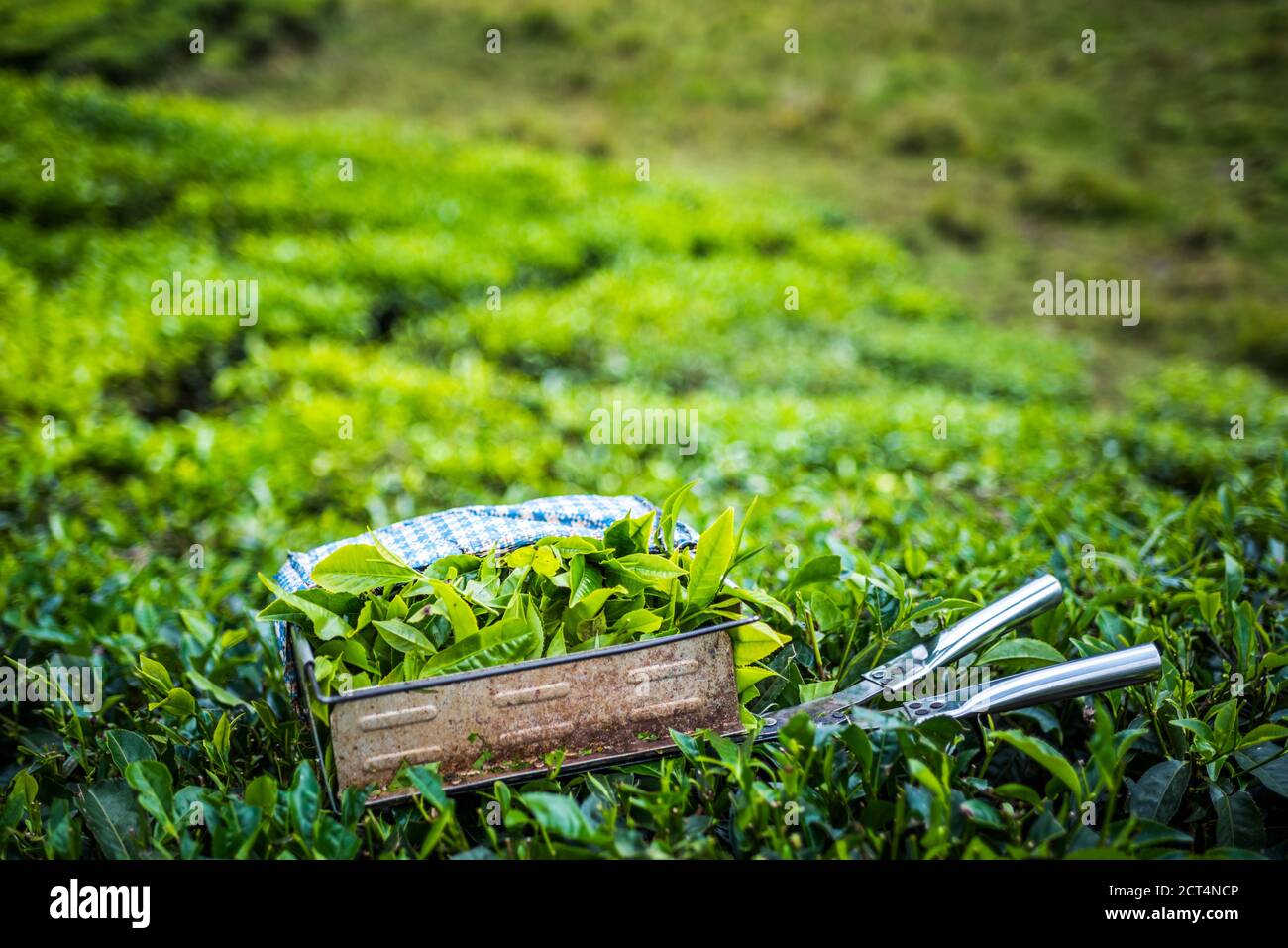 Asian farming tools hi-res stock photography and images - Alamy