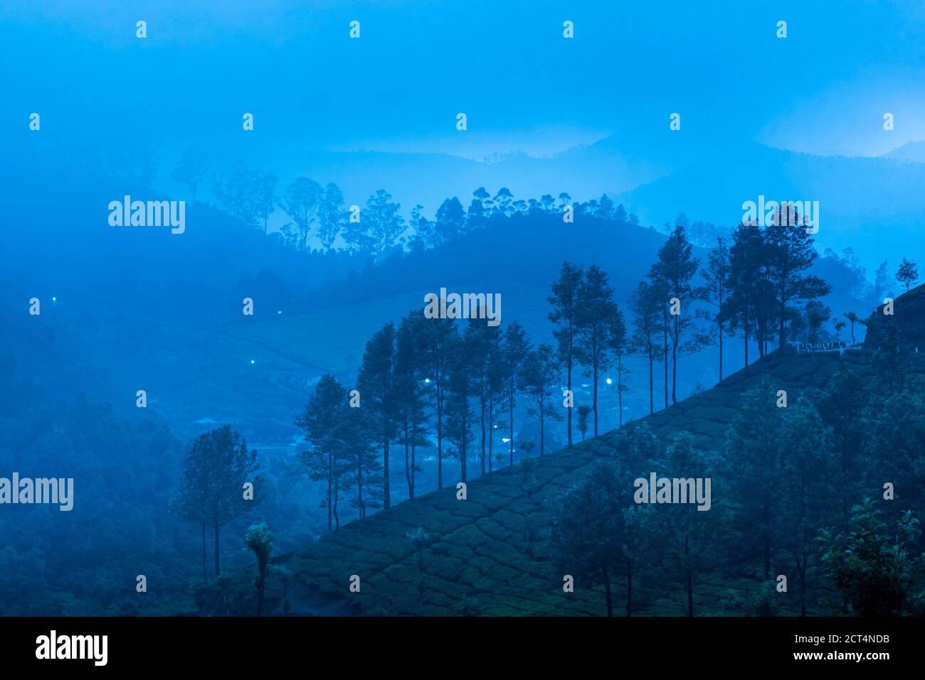 Munnar, Western Ghats Mountains, Kerala, India Stock Photo - Alamy