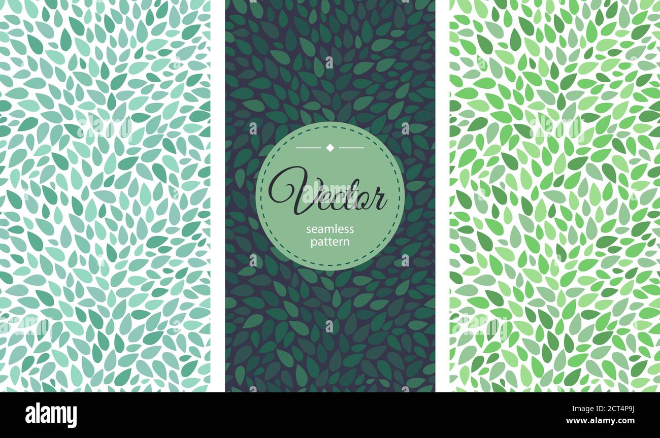 Set Seamless leaves pattern. Round label with text on a background of ...