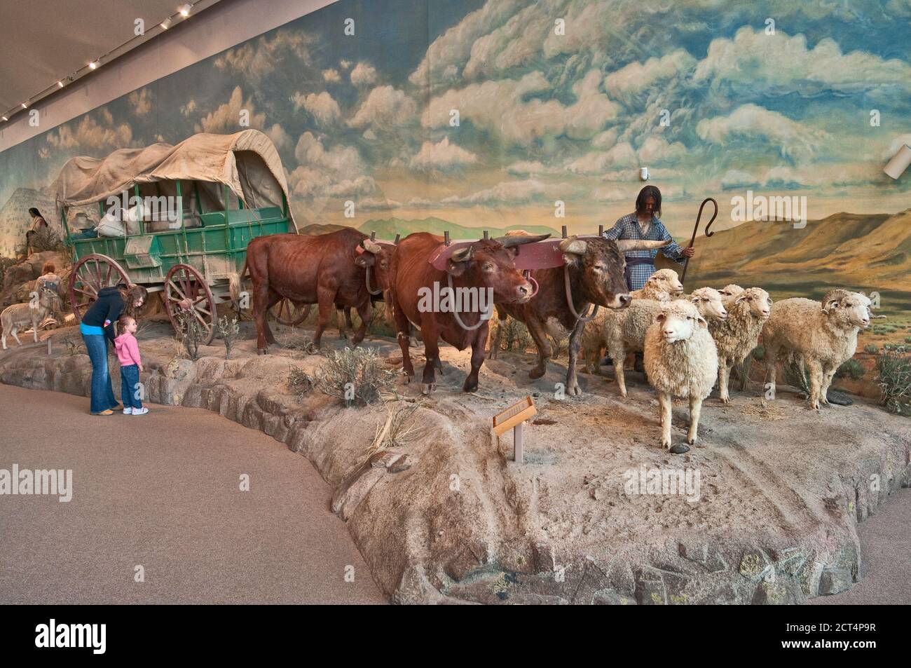 Sheep, oxen pulling settler's wagon in life-size diorama at Oregon ...