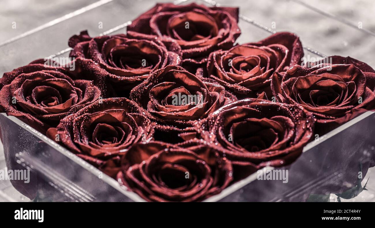 Bouquet of flowers, fresh red rose. Collage of red roses. Bouquet of ...