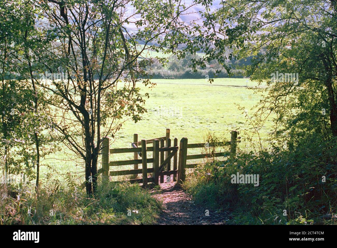 The tail and wooden gate in the countryside, North England Stock Photo ...