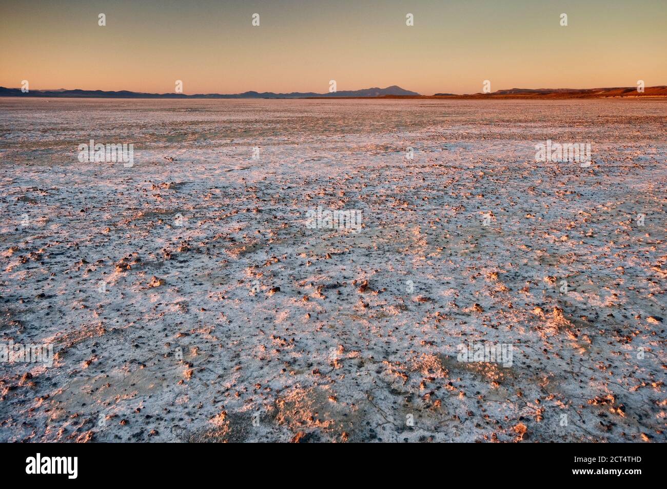 Salt deposits at sunrise, bottom of Sevier Lake, dry lake in Great ...