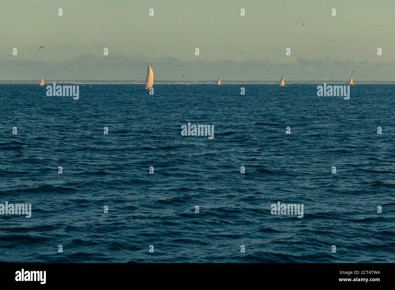 Dhow fishing boats hi-res stock photography and images - Alamy