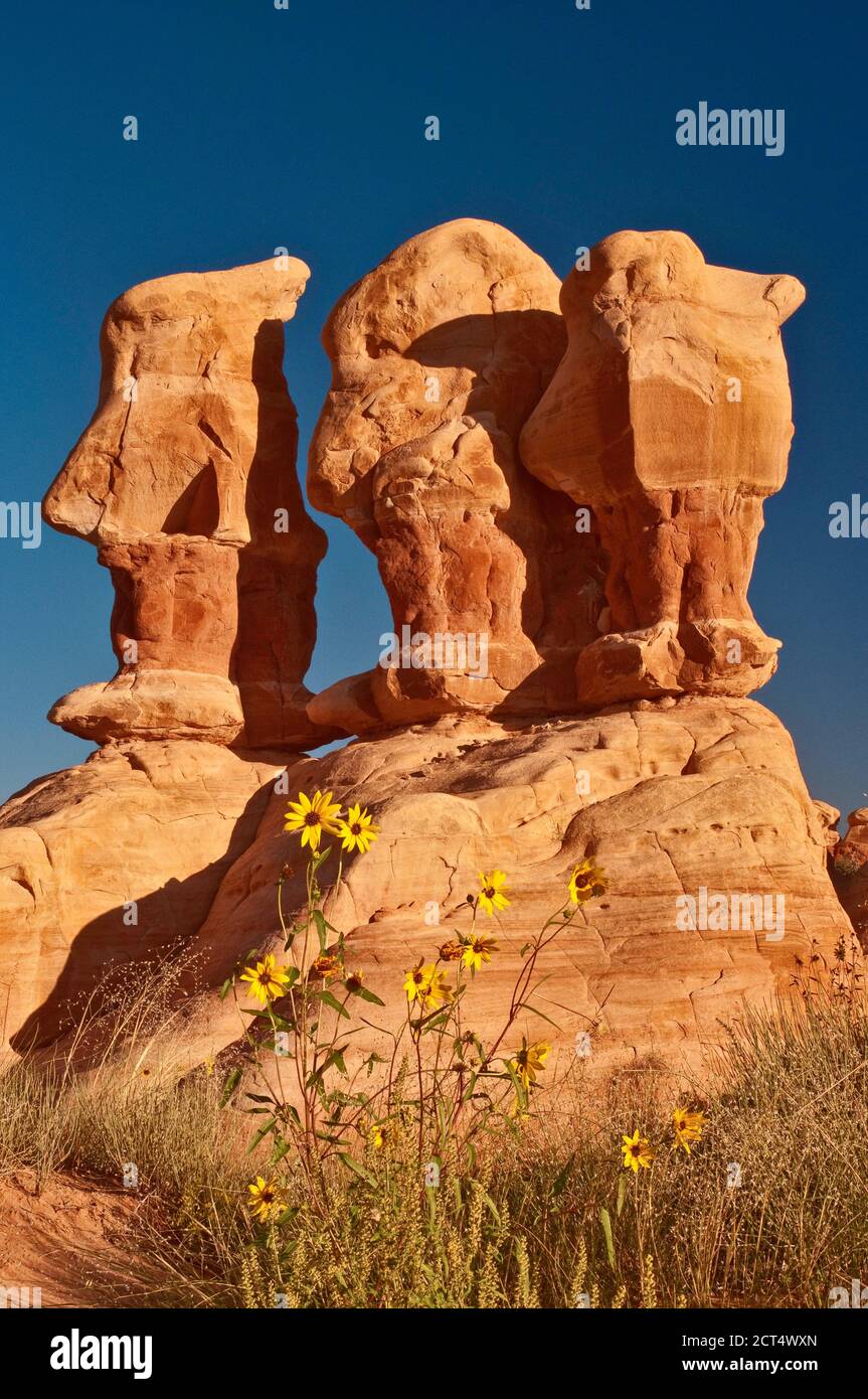 Hoodoos, sunflowers at Devil's Garden at Grand Staircase Escalante ...