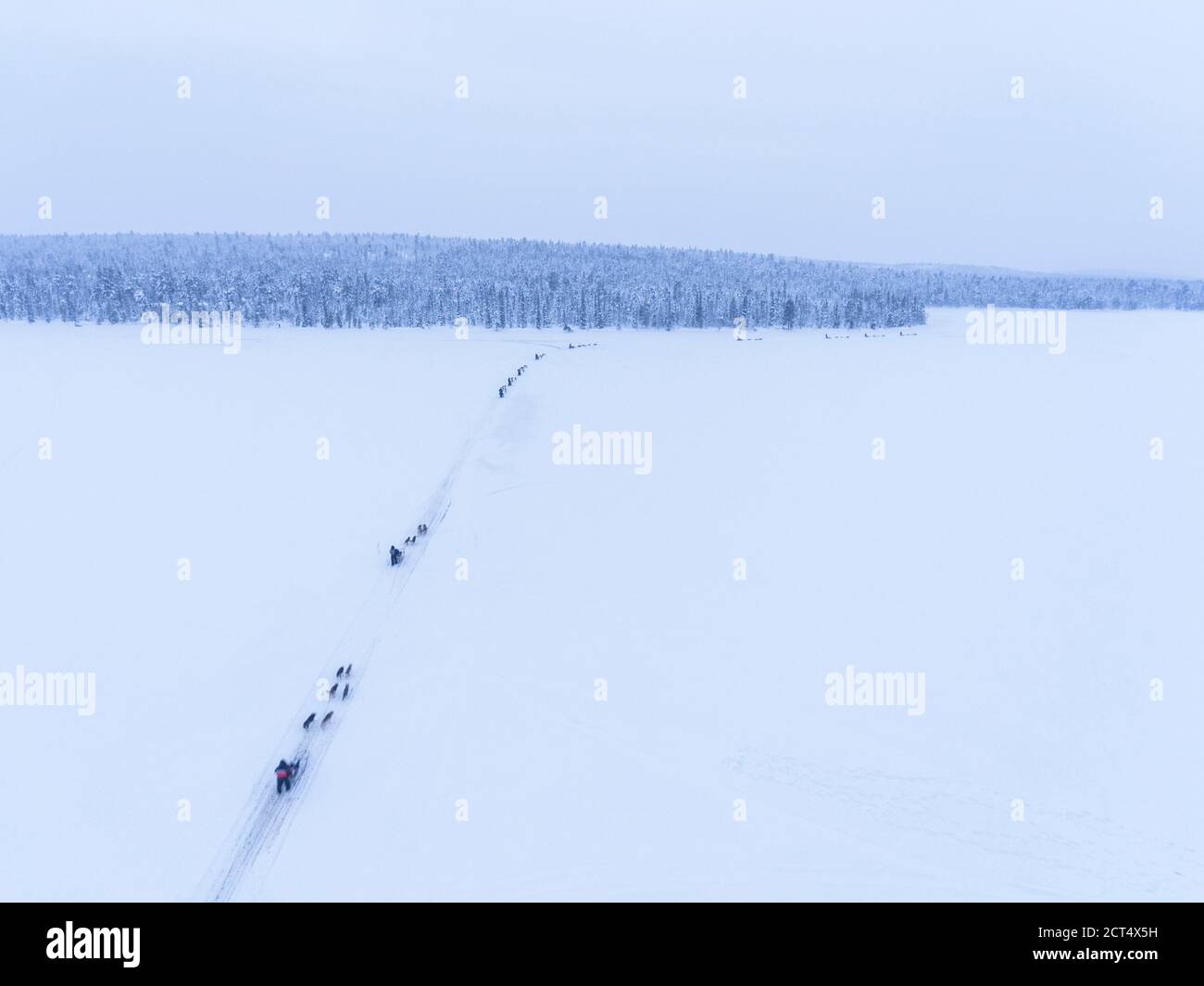Aerial of Husky dog sledding on a frozen snow covered lake into a ...