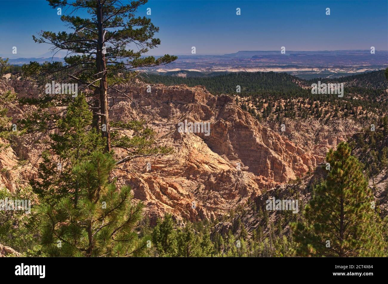 Box Death Hollow Wilderness, view from Hells Backbone Road, Colorado ...