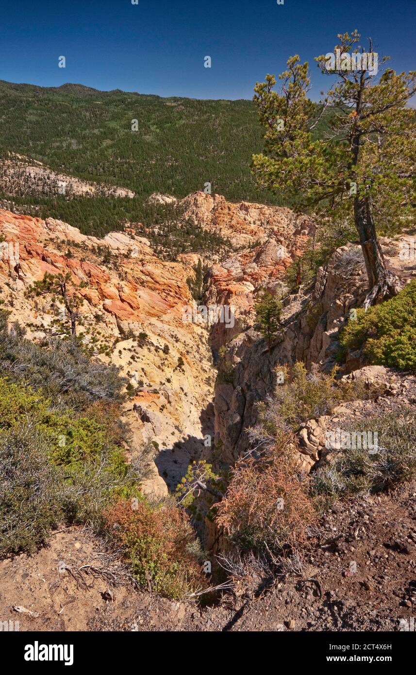 Box Death Hollow Wilderness, view from Hells Backbone Road, Colorado ...