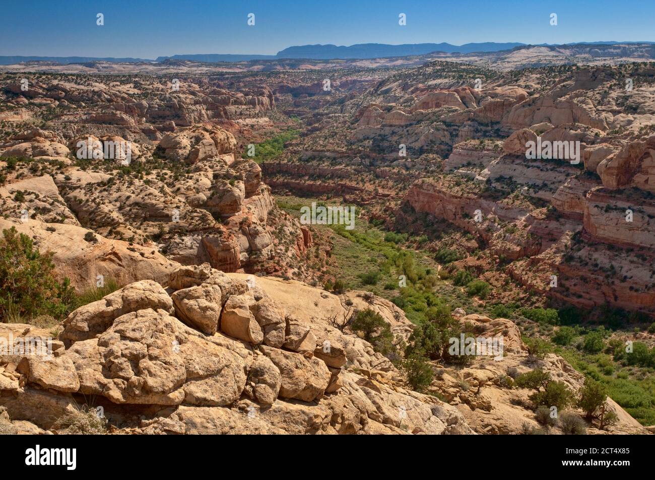 Box Death Hollow Wilderness, view from Hells Backbone Road, Colorado ...