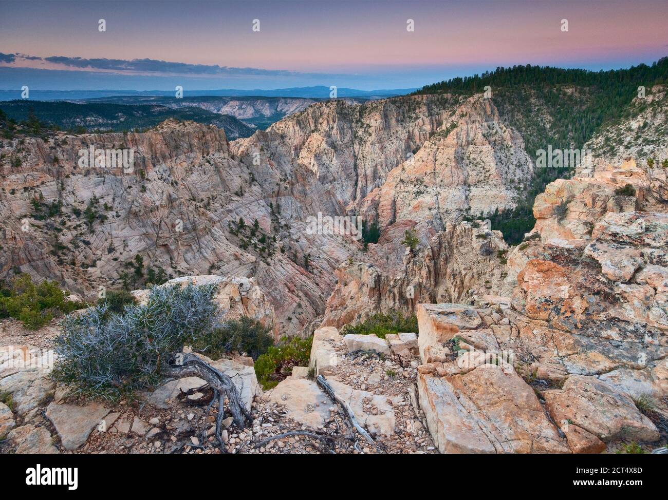 Box Death Hollow Wilderness, view at sunrise from Hells Backbone Road ...