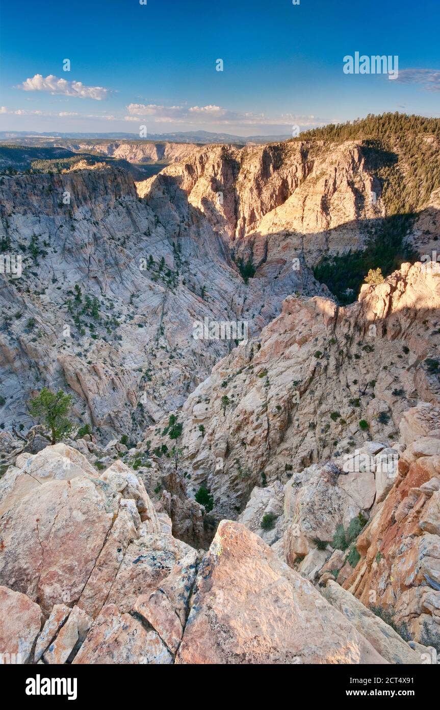 Box Death Hollow Wilderness, view at sunrise from Hells Backbone Road ...