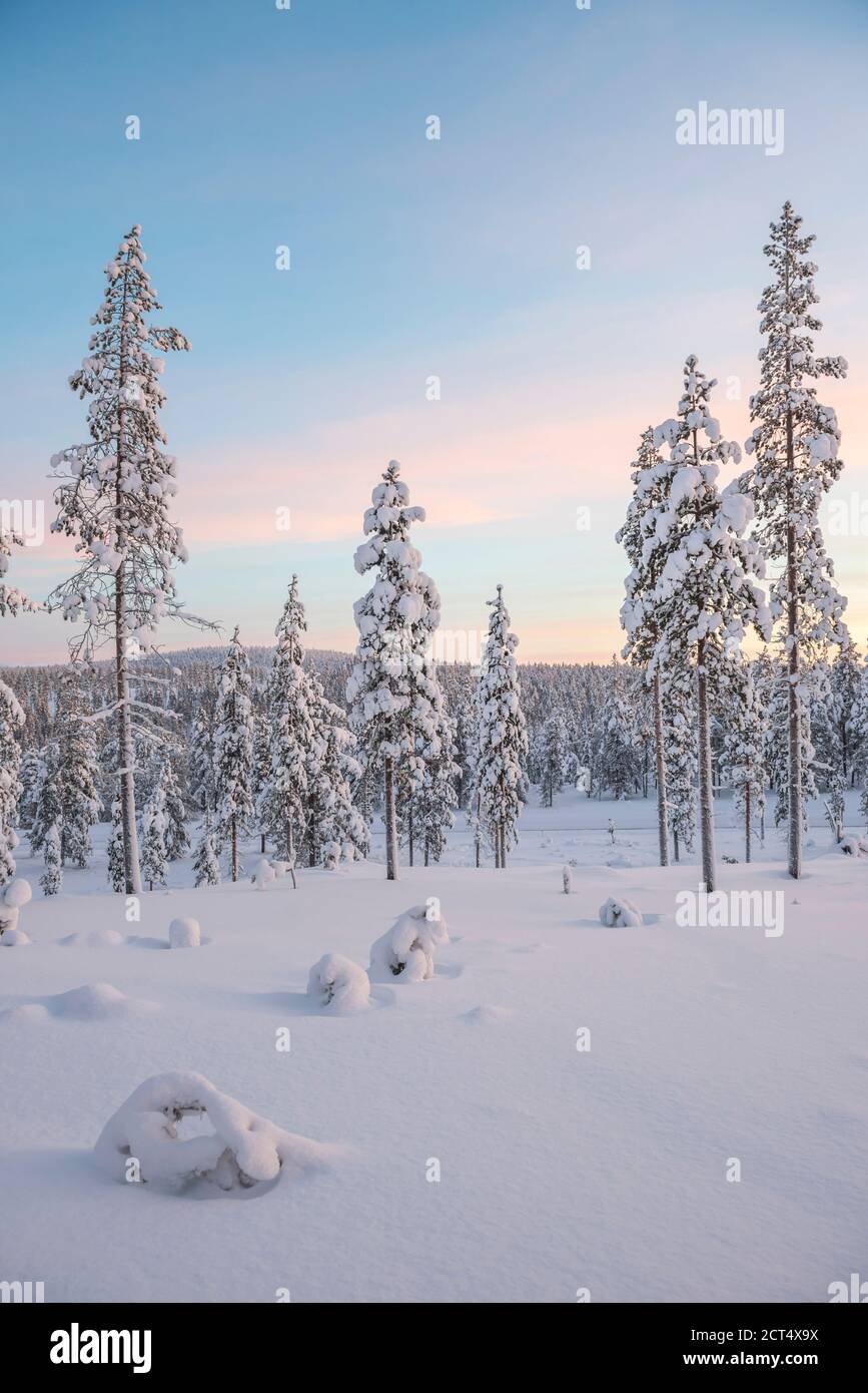 Cold snow covered icy winter landscape at sunset inside the Arctic ...
