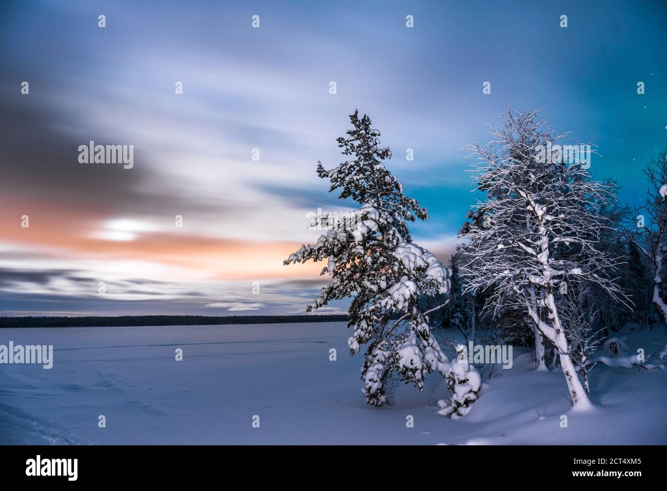 Lapland scenery at night under the stars in the frozen winter landscape ...