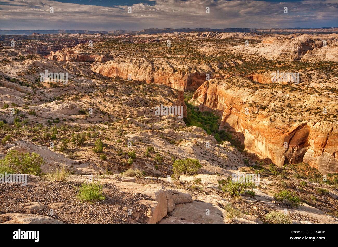 Calf Creek area, view from road following The Hogback at Grand ...