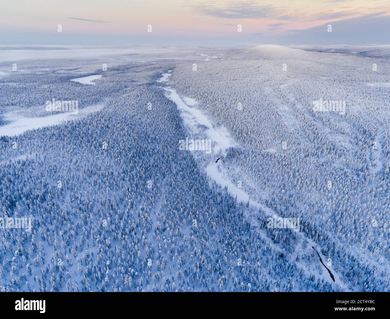 Aerial photo of a snow covered winter forest full of trees at sunset in ...