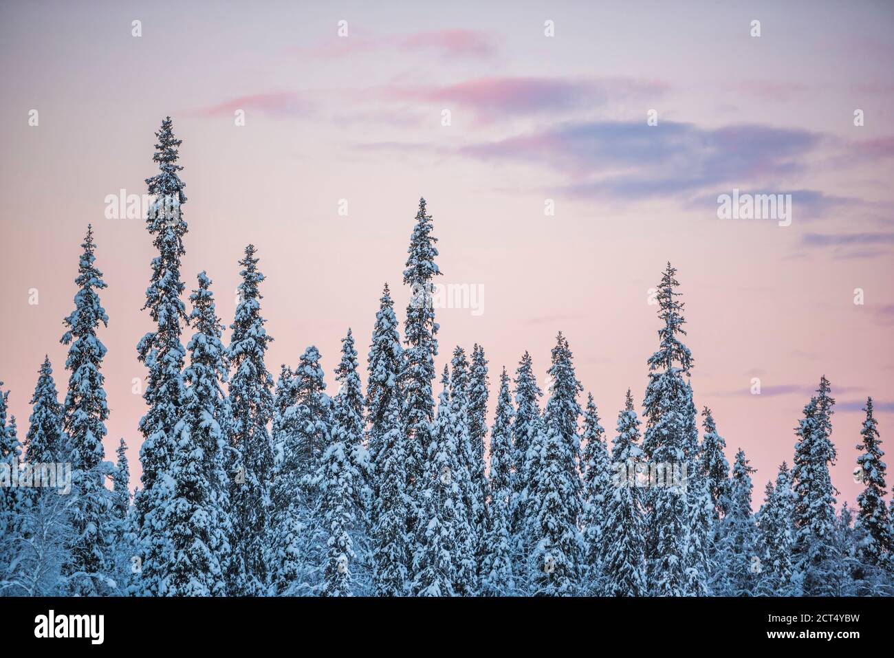 Cold weather and snow covered icy winter landscape with dramatic sunset ...