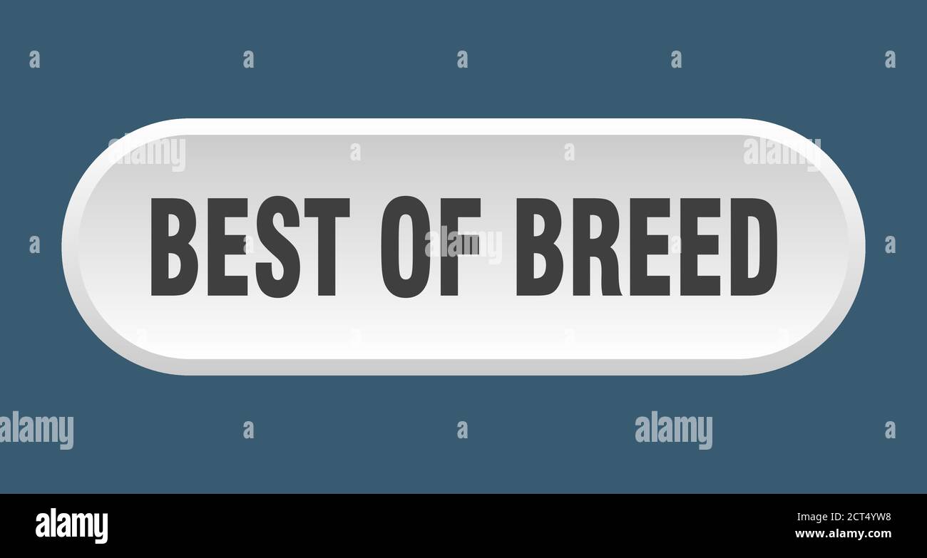best of breed button. rounded sign isolated on white background Stock ...