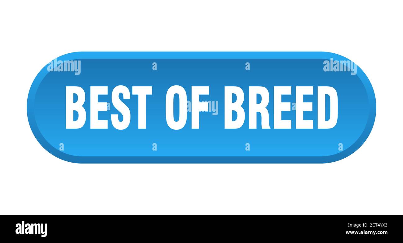 best of breed button. rounded sign isolated on white background Stock ...
