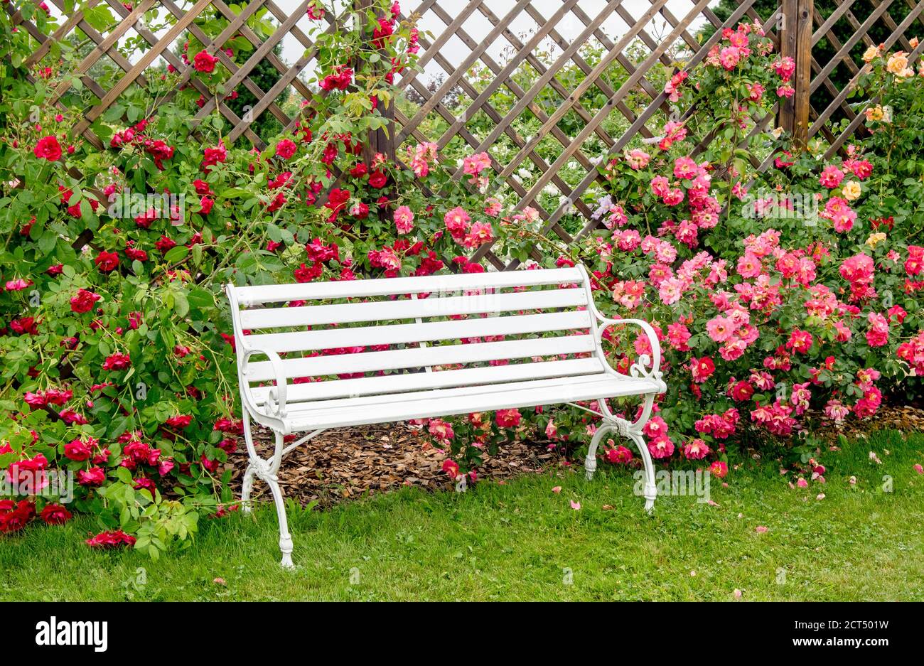Wood garden bench hi-res stock photography and images - Alamy