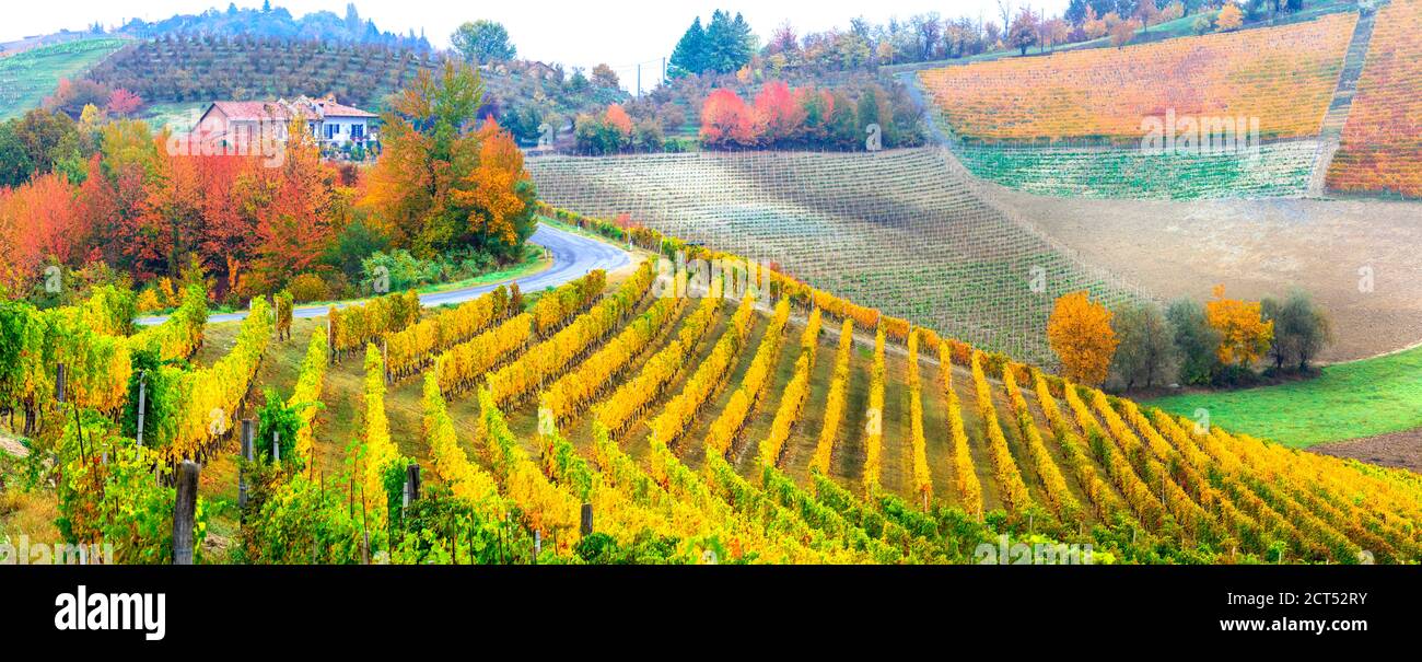 beauty in nature - autumn countryside with rows of colorful vineyards ...