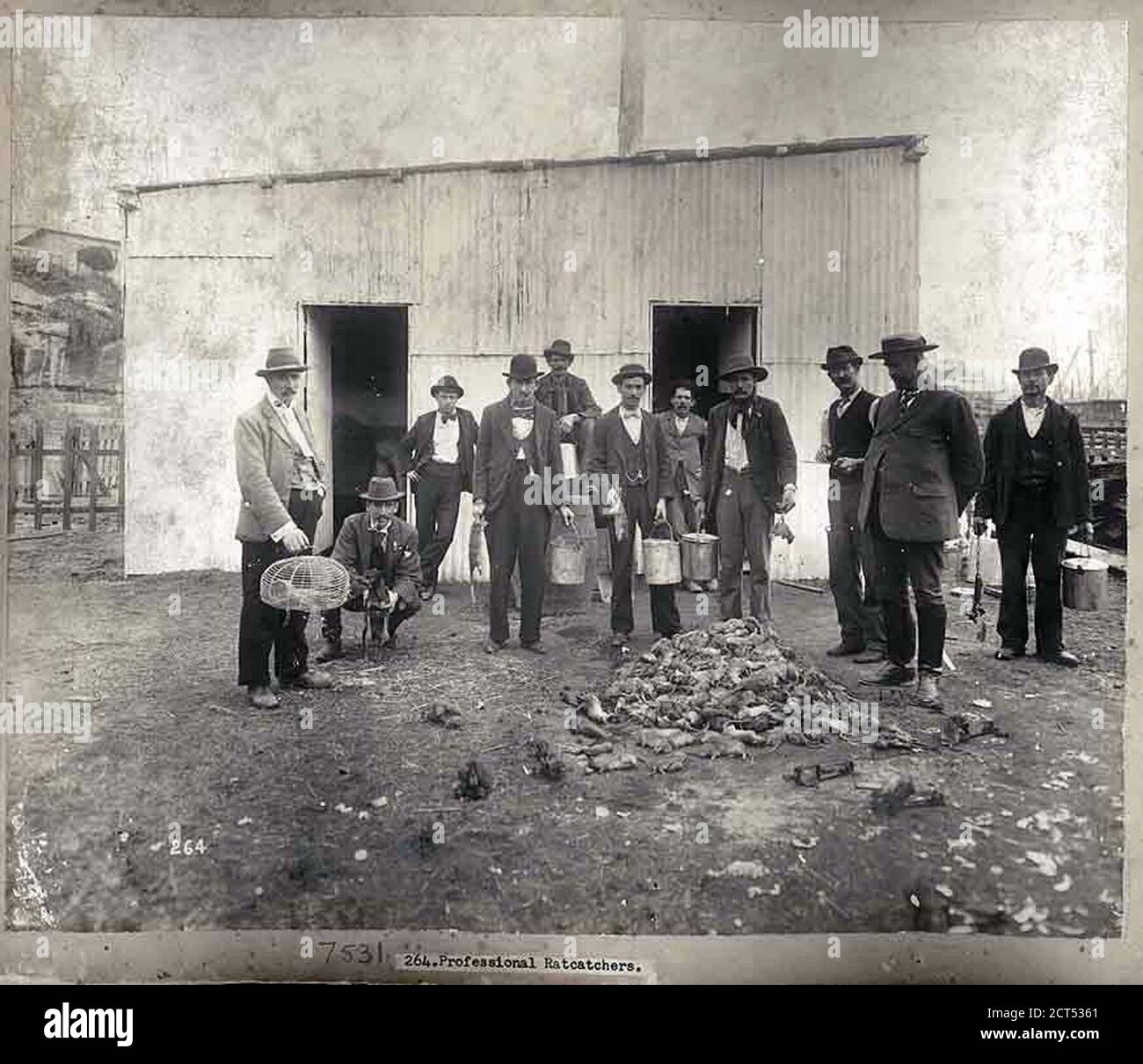 Rat Catchers High Resolution Stock Photography and Images - Alamy