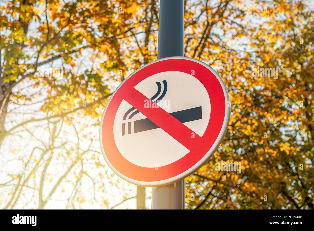 Smoke-Free sign agains park trees background. Red prohibition no ...