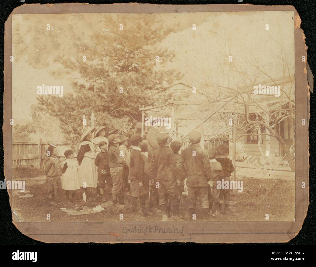Edwardstown High Resolution Stock Photography and Images - Alamy