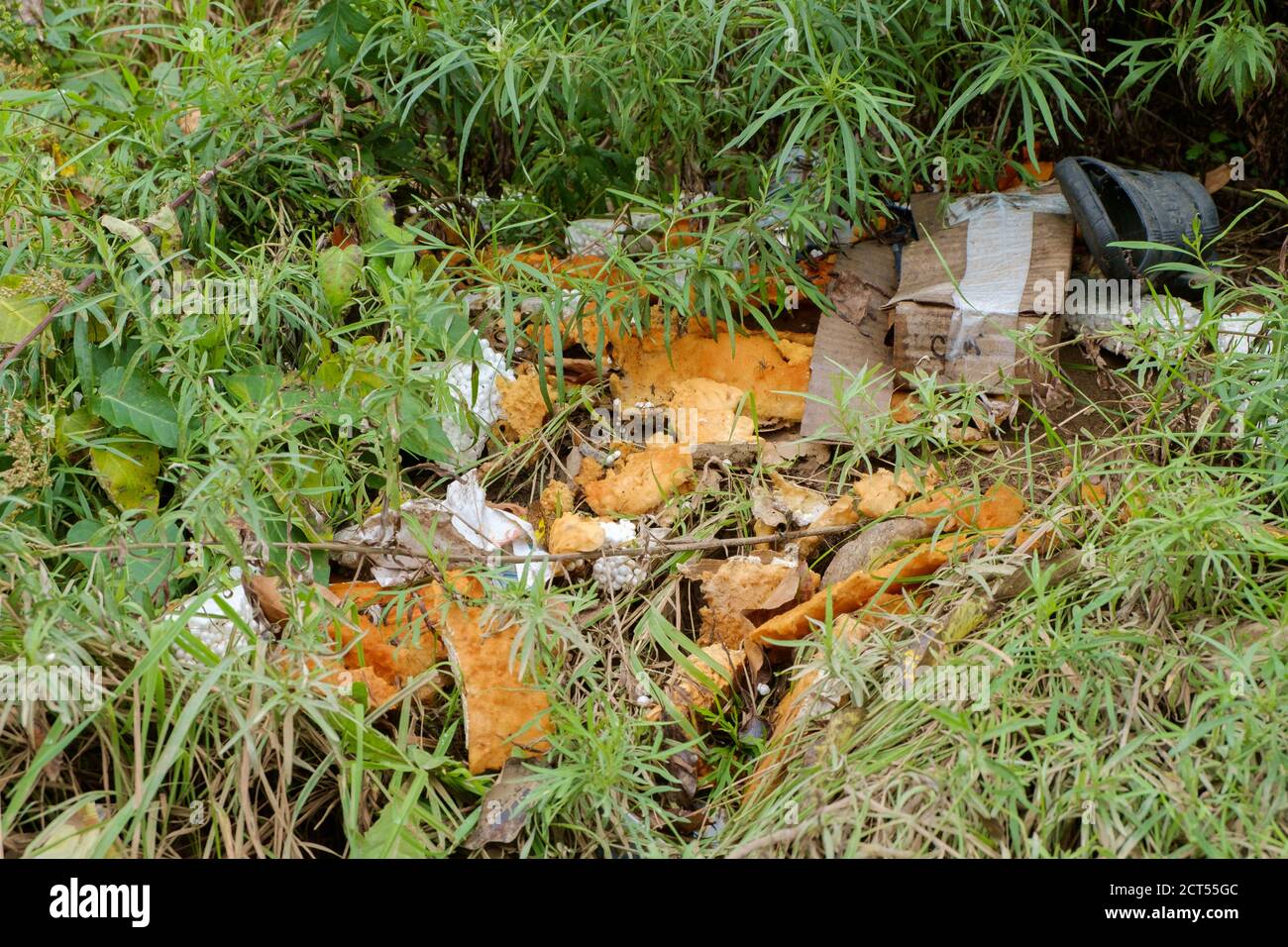 Plastic pollution roadside hi-res stock photography and images - Alamy