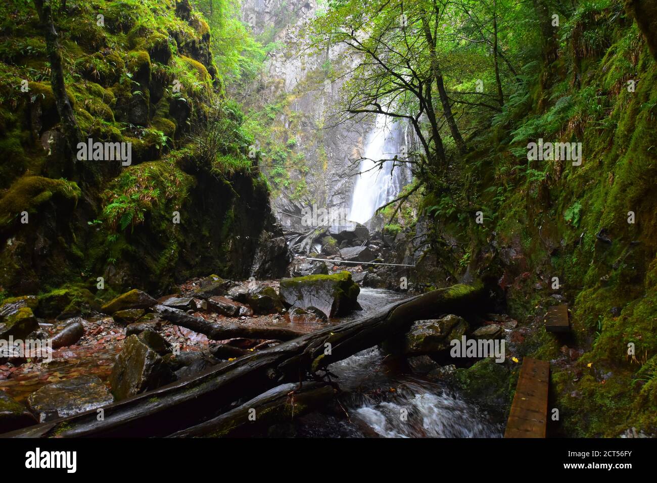 Grey Mares waterfall ,Kinlochleven, Scotland Stock Photo - Alamy