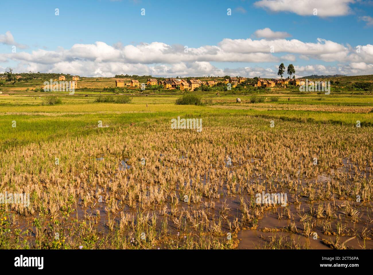 Fields landscape highlands madagascar hi-res stock photography and ...
