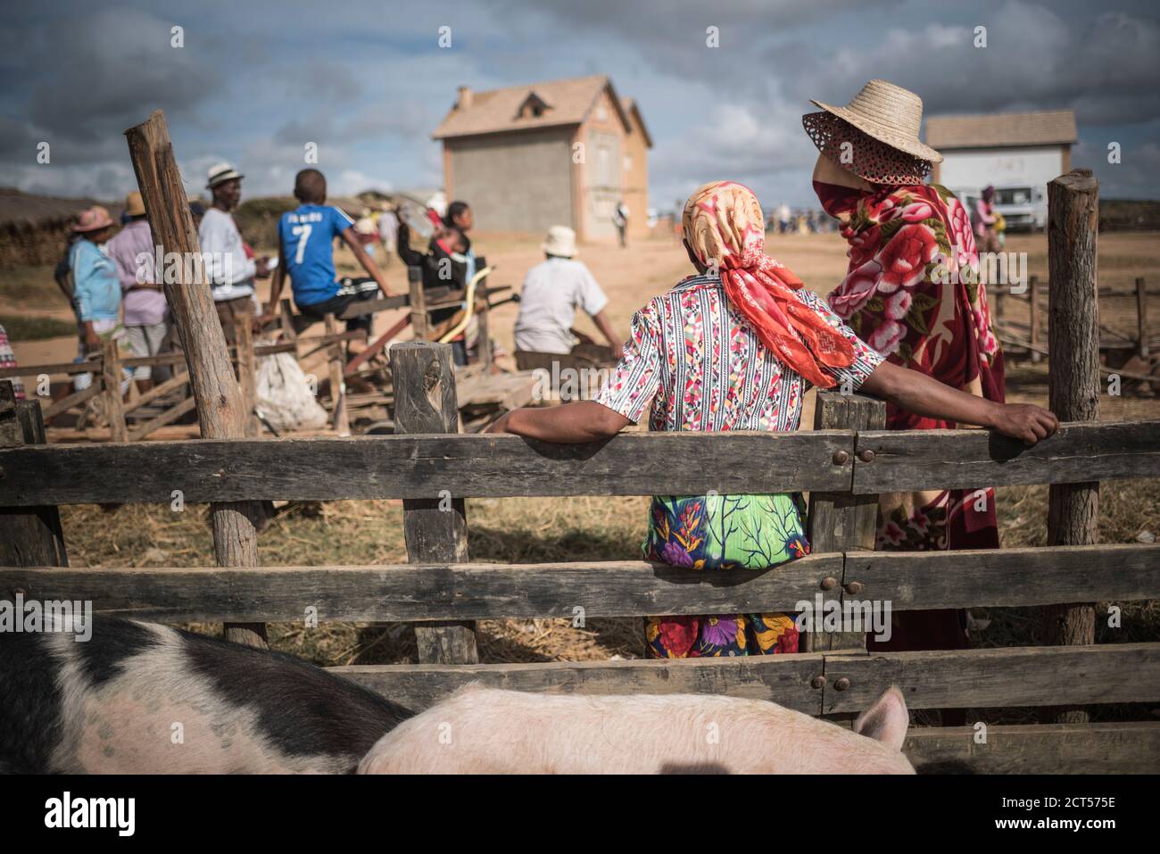 Andohasana Monday Pig Market, Madagascar Central Highlands Stock Photo ...
